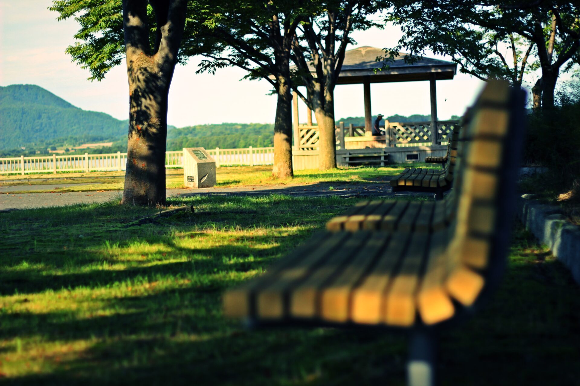 佐潟【白鳥飛来地】新潟県